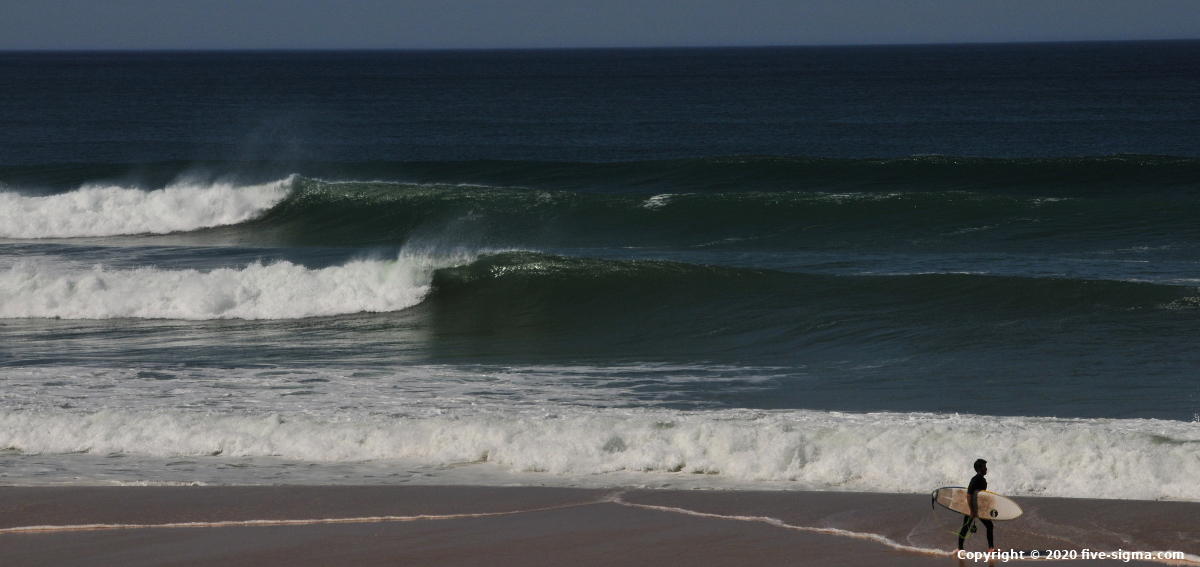 911 – Paradox of the existential penguin